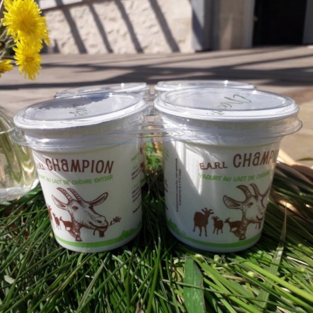 Yaourt au lait de chèvre nature - pack de 4 France
